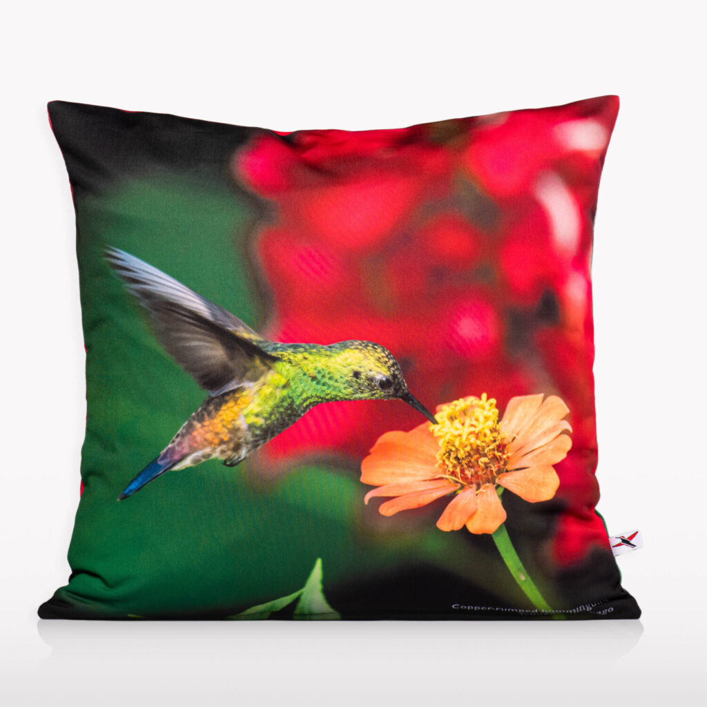 Hummingbird Pillow cover - Original design - ShopCaribe