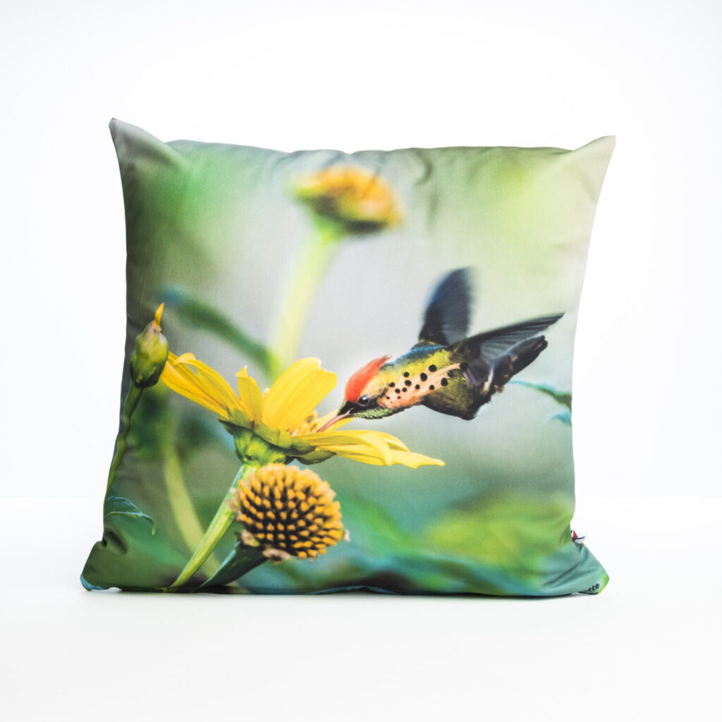 Land of the Hummingbird - Tufted coquette pillow cover - ShopCaribe
